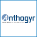 75-Anthogyr | CDI Clinique de l'Intrument